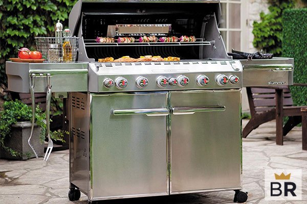 5 Best Weber Grills - Jan. 2024 - BestReviews