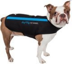 5 Best Dog Anxiety Jackets - June 2023 - BestReviews